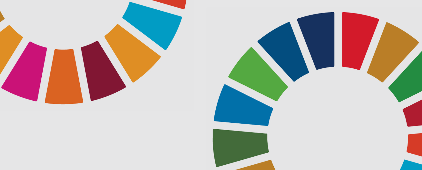 Sustainable Development Goals (SDG) | UNIRI